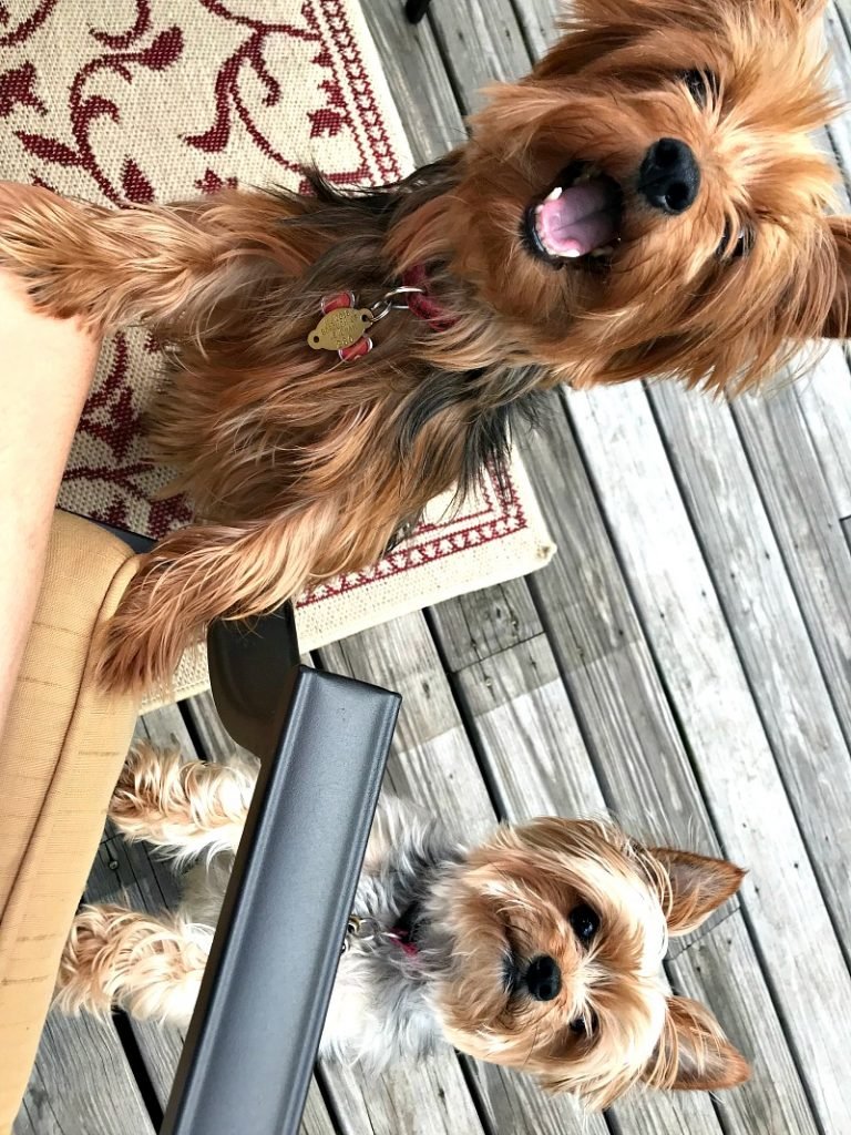 5 Reasons Why Bose® SoundWear™ Is The Ultimate Companion® This Summer ...