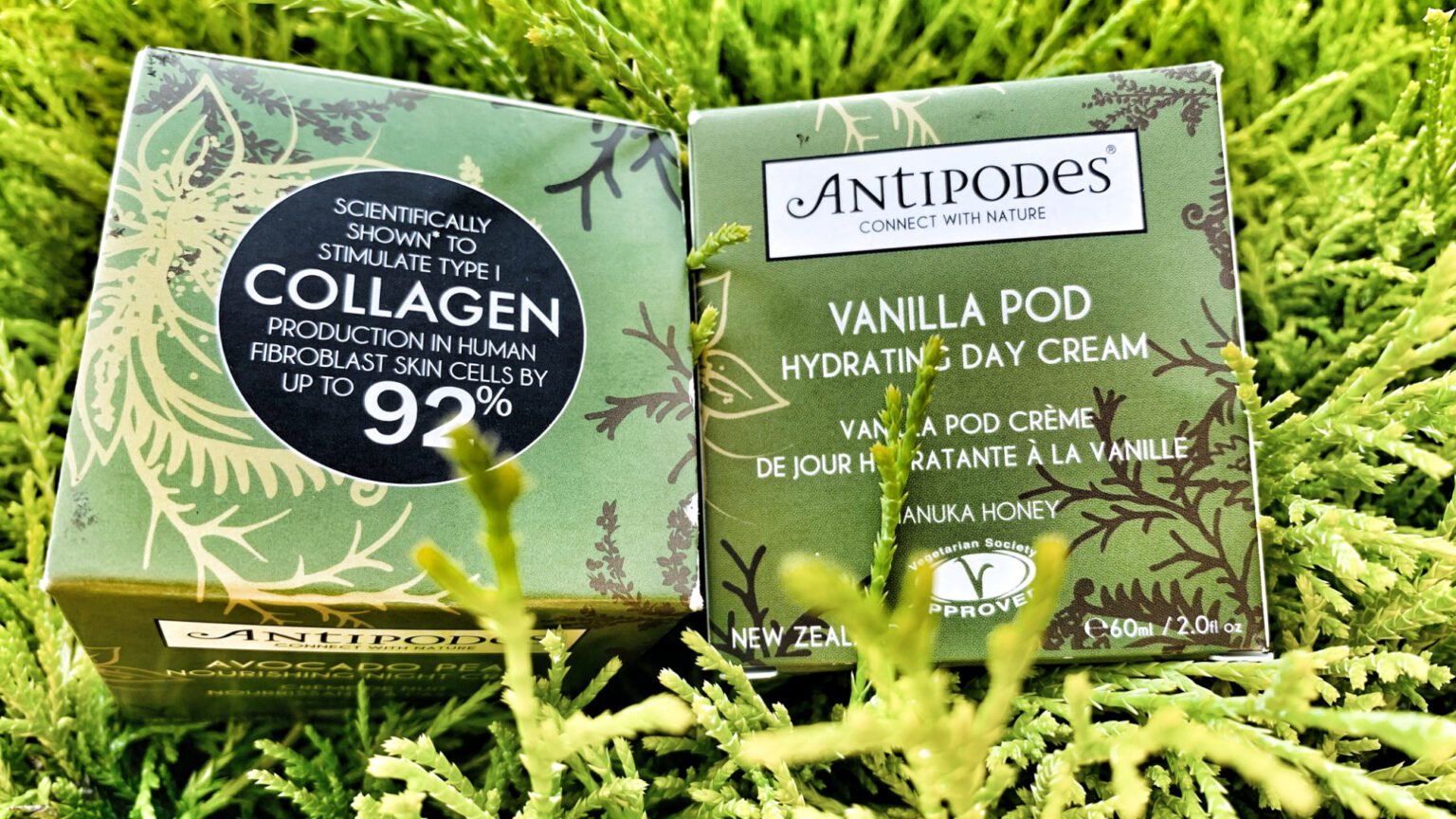 Great Green Beauty Skincare Products | Trendy Latina