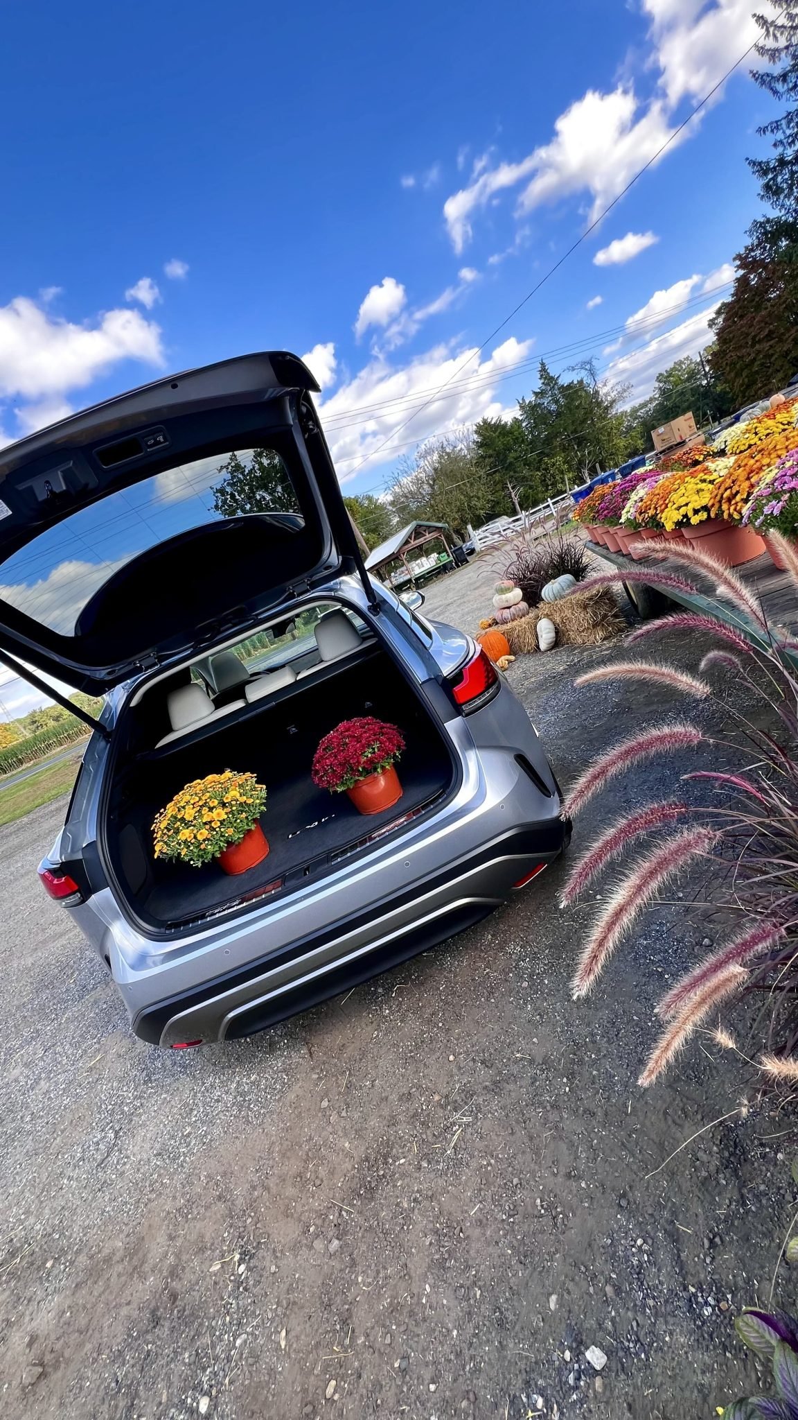 Fall Adventures With Lexus | Trendy Latina