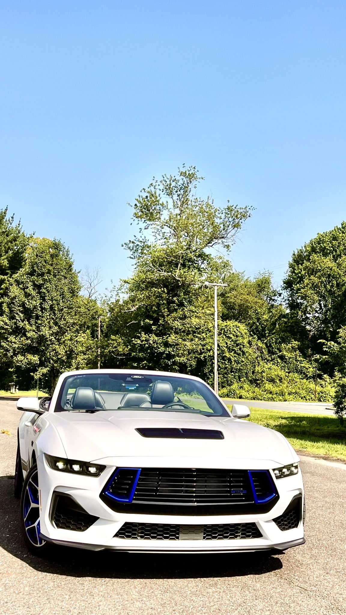 Top Down Life With The Mustang GT | Trendy Latina
