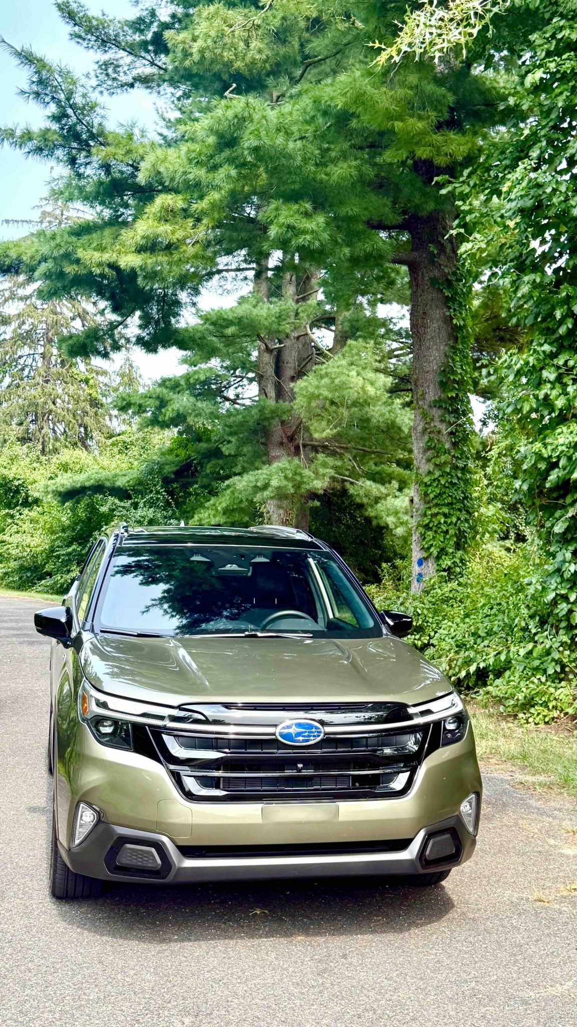 Fun Adventures With Subaru Forester | Trendy Latina